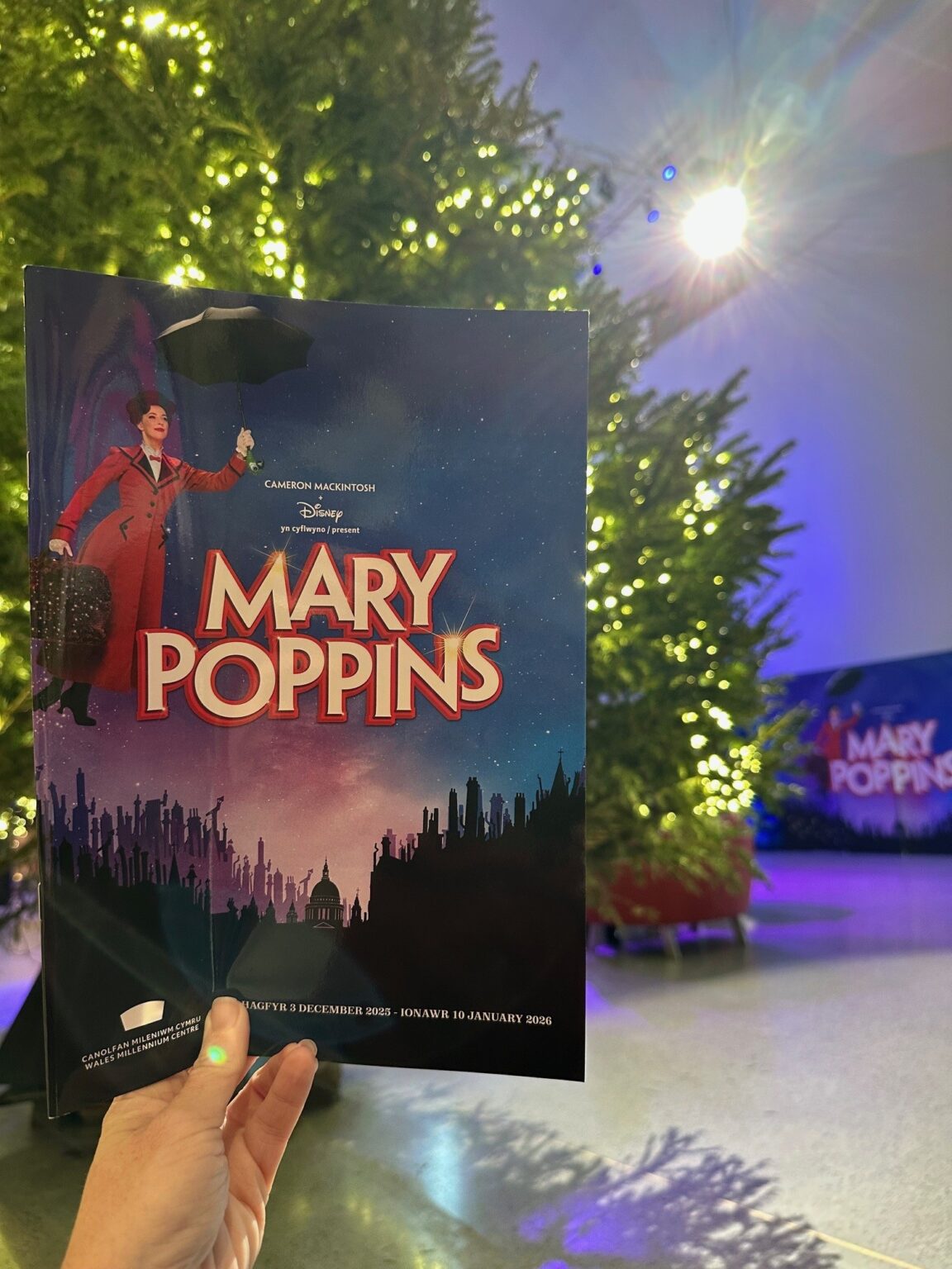 Review Mary Poppins, Wales Millennium Centre by Rhian Gregory - Get The ...